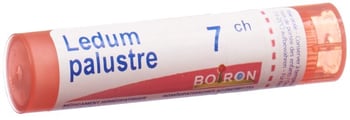 Boiron Ledum palustre Gran 7 CH 4 g | Online bestellen