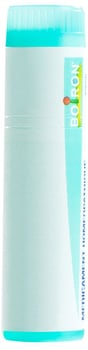 Boiron Pulsatilla Glob 200 K 1 Dos | Online bestellen