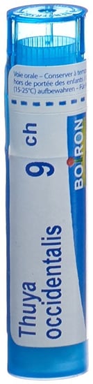 Boiron Thuya occidentalis Gran 9 CH 4 g | Online bestellen
