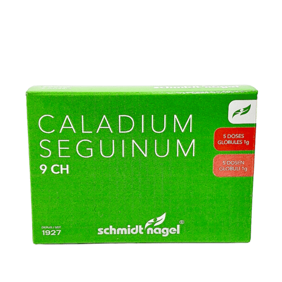 SCHMIDT-NAGEL Caladium seguinum Glob 9 CH 1 g | Online bestellen