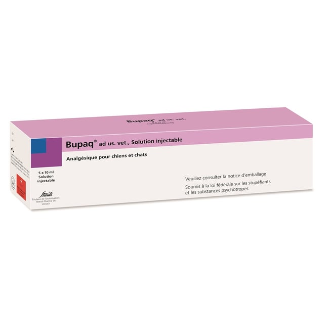 BUPAQ Inj Lös ad us.vet. Fl 10 ml | Online bestellen