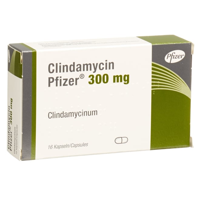 CLINDAMYCINE Pfizer caps 300 mg blist 16 pce | Commander en ligne