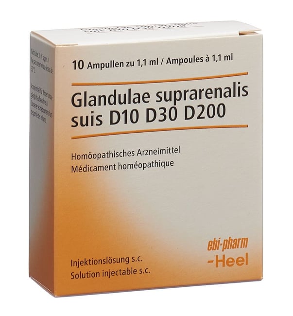 GLANDULA SUPRARENALIS SUIS Injeel sol inj amp 1.1 ml | Ordinare online