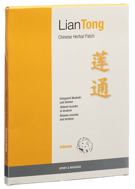LIANTONG Chinese Herbal Intense Patch 10x14cm 5 Stk | Online bestellen