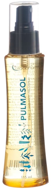 PULMASOL Spray liq 115 ml | Online bestellen