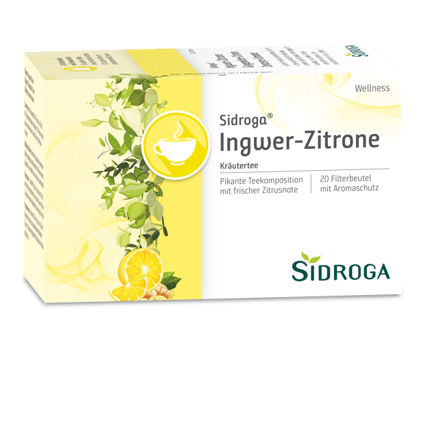 Sidroga Ingwer-Zitrone Tees Btl 20 Stk | Online bestellen