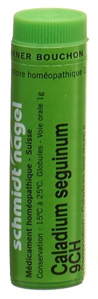 SCHMIDT-NAGEL Caladium seguinum Glob 9 CH 1 g | Online bestellen