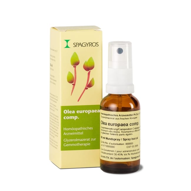 Spagyros Olea europaea Glyc Maz 1 D Spr 30 ml | Online bestellen