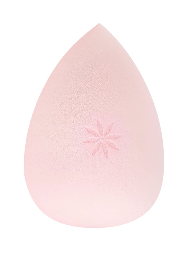 BRUSHWORKS complexion sponge box 1 pce | Commander en ligne