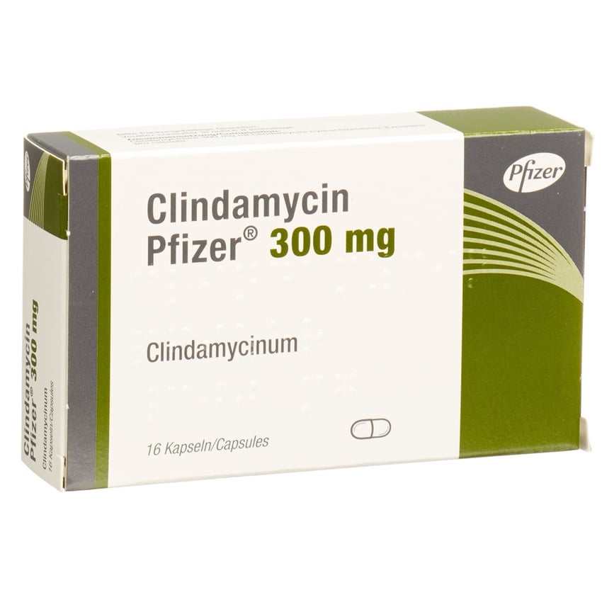 CLINDAMYCINE Pfizer caps 300 mg blist 16 pce | Commander en ligne