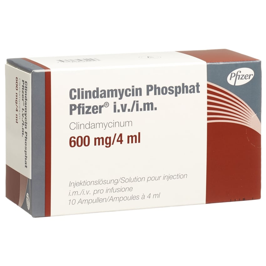 CLINDAMYCINE PHOSPHATE Pfizer sol inj 600 mg/4ml amp 4 ml | Commander en ligne