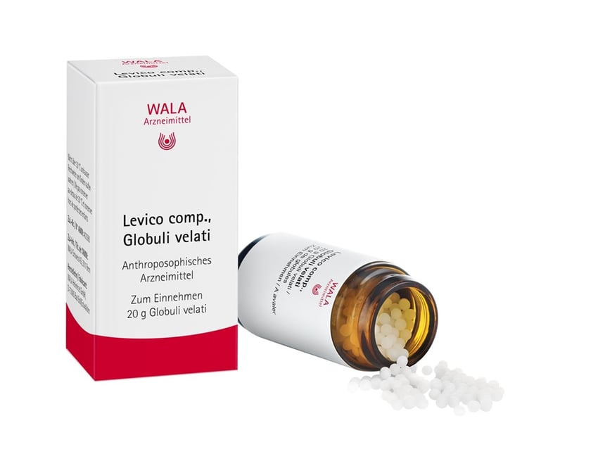 WALA levico comp. glob fl 20 g | Commander en ligne