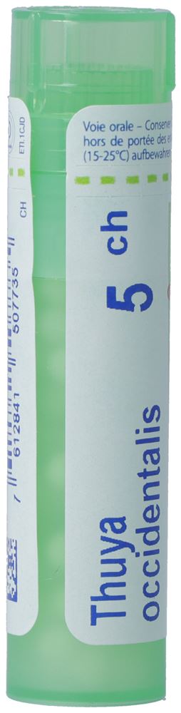 Boiron thuya occidentalis gran 5 CH 4 g | Ordinare online